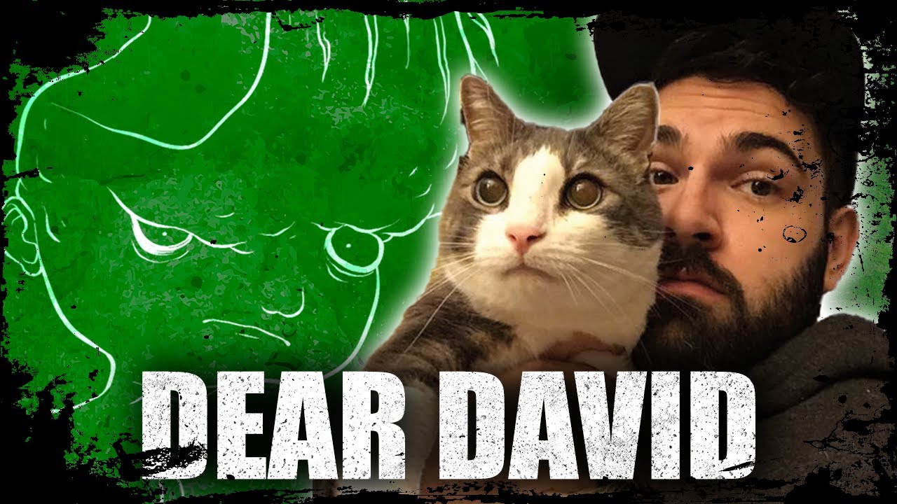 Dear David: Das geisterhafte Rätsel auf Twitter - YouTube