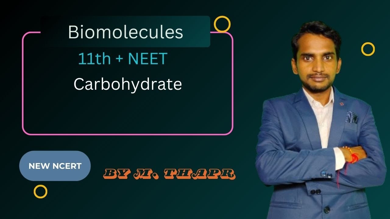 Carbohydrates Class 11 Biology || Biomolecules Class 11 Biology ...