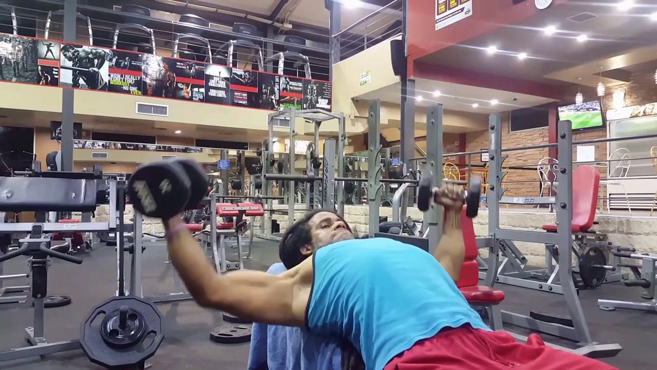 RUTINA DE ENTRENAMIENTO DE PECHO Y TRICEPS - YouTube