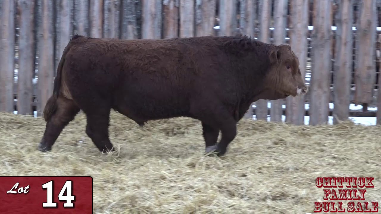 Lot 14 -Chittick 2019.mp4 - YouTube