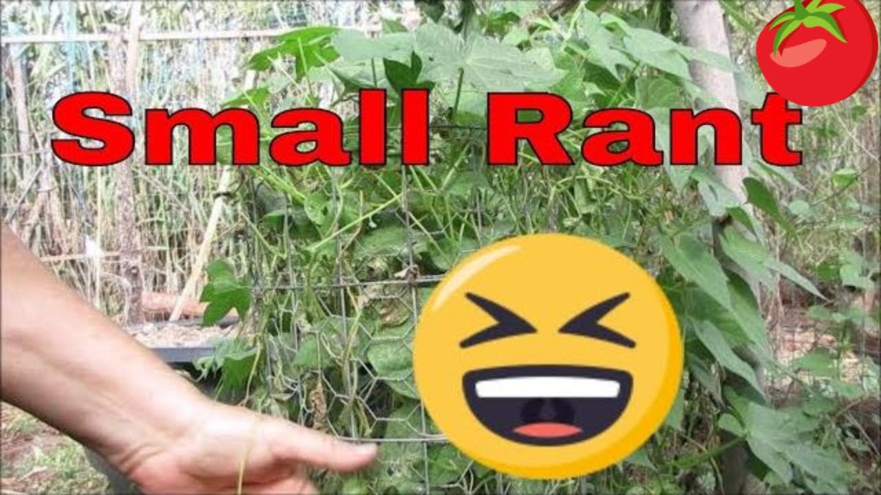 Garden rant - YouTube