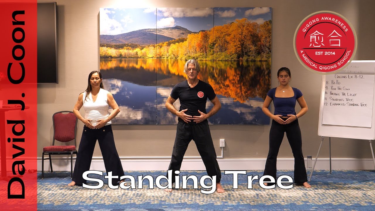 Standing Tree Meditation - Beginning Qigong Exercise - David J. Coon ...