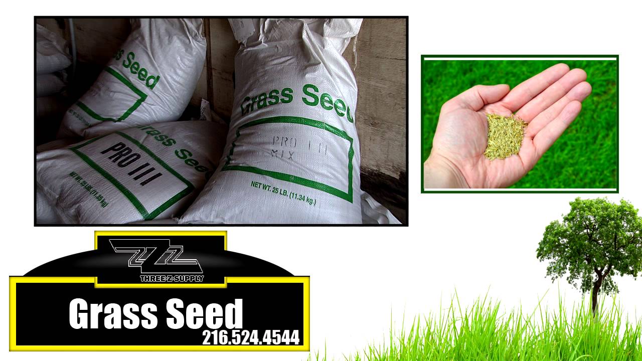 Three Z Supply GRASS SEED - YouTube