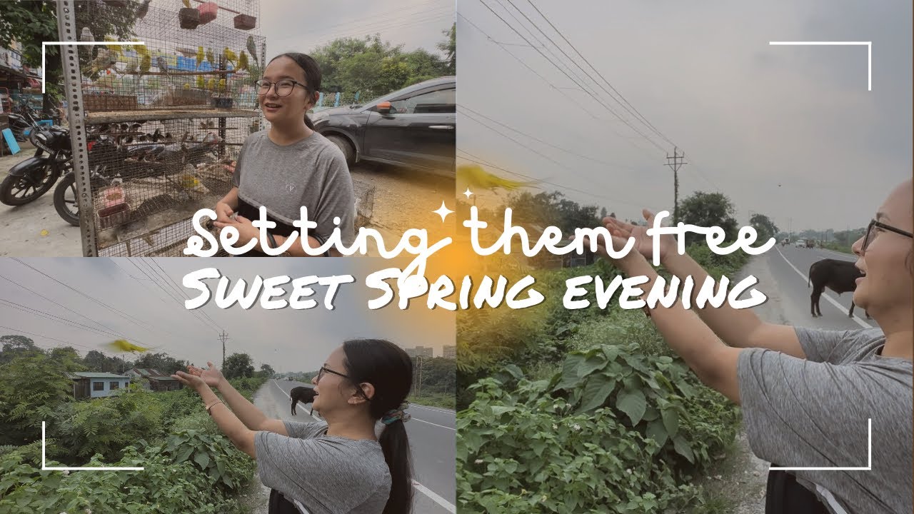 Setting birds free || no one is meant to be in a cage 😭😭😭 ️ - YouTube