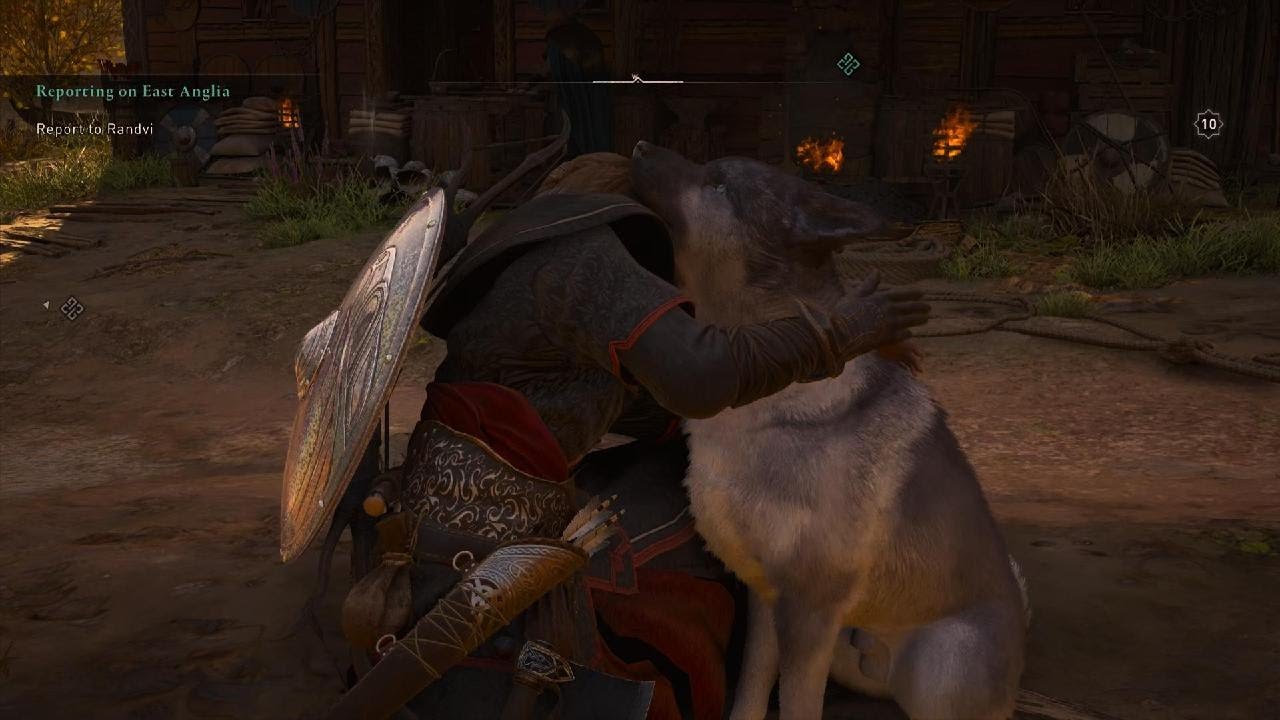 Assassin's Creed Valhalla Dog Petting - YouTube