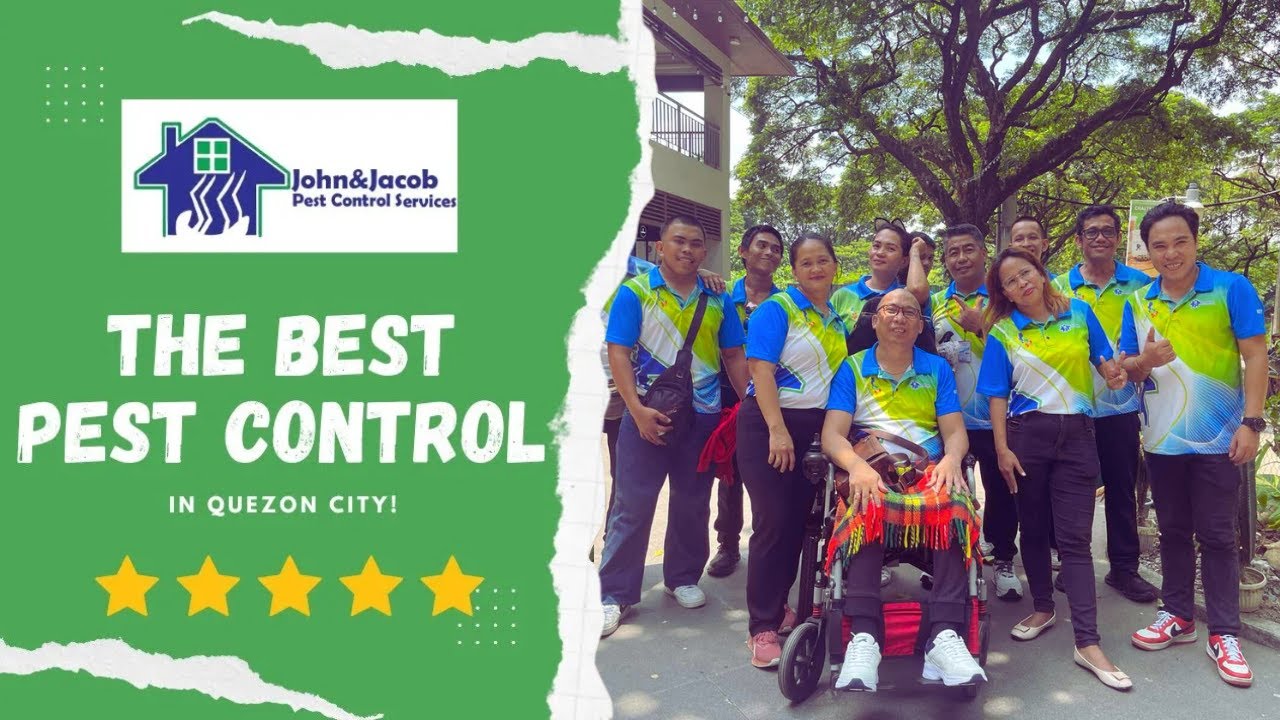 Termite Pest Control 5-Star Review in QC - YouTube