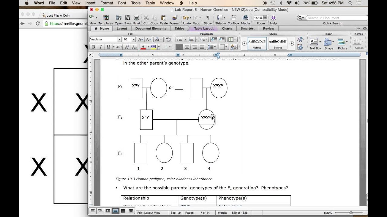 Human Genetics Lab Part 3 Vid - YouTube