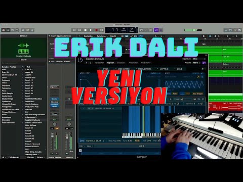Erik Dalı Yeni Düzenleme