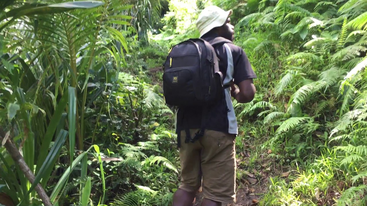 walking up a pathway on Tanna Island, Vanuatu - YouTube