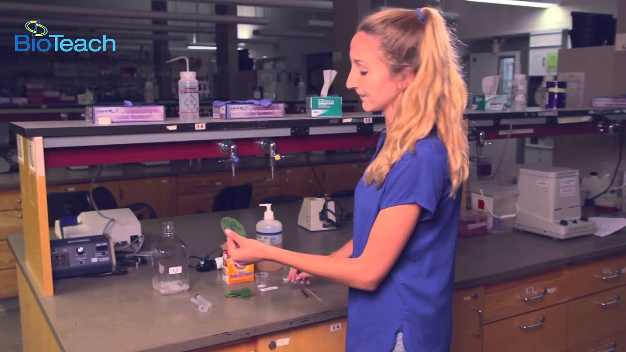 Leaf Punch Lab 03 - YouTube
