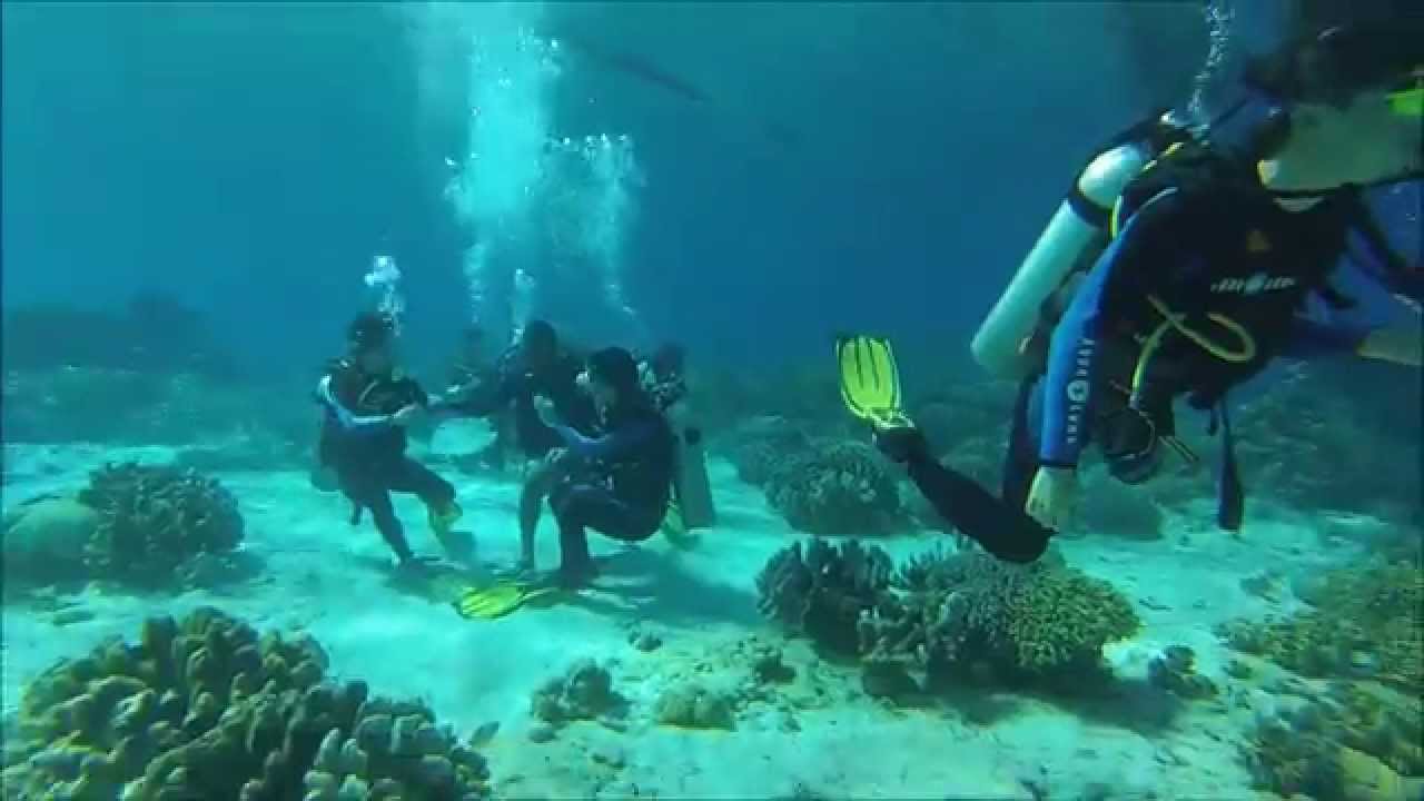 Sumilon Island,Cebu Discovery Diving スミロン体験ダイビング - YouTube