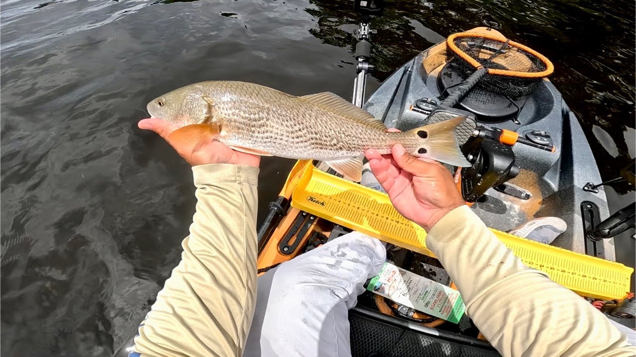 Shallow Water Slam in the Bayou Inshore Kayak Fishing - YouTube