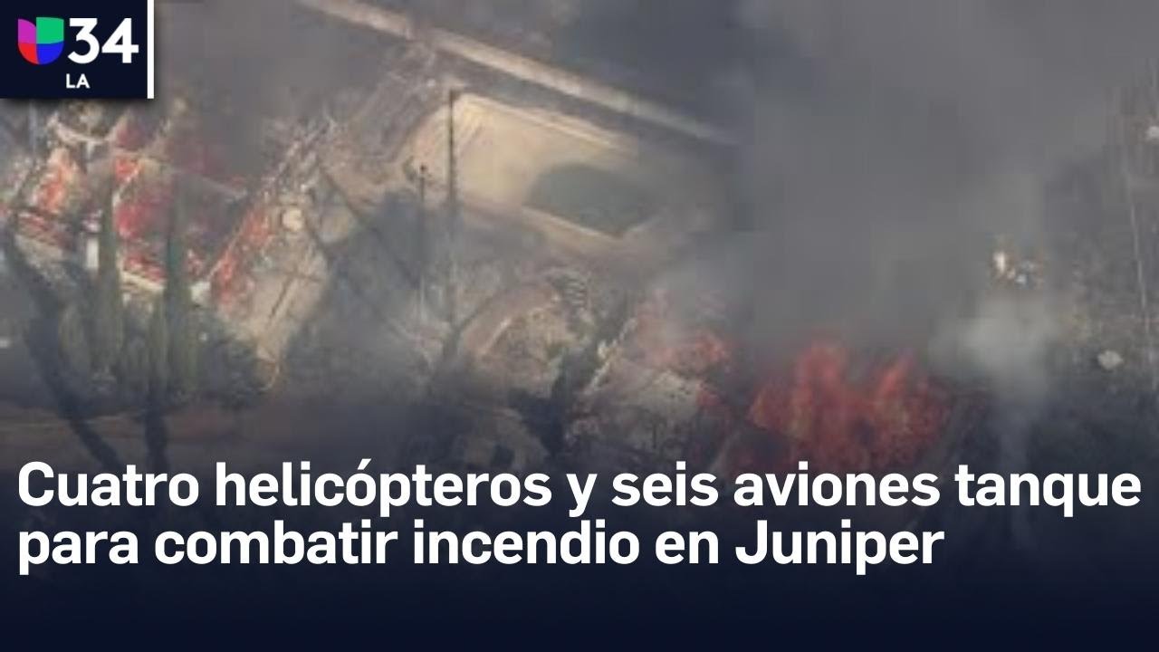 Incendio Juniper arrasa con maleza, vehículos y varias viviendas en ...
