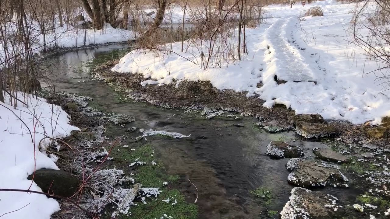 Council Ring Spring on February 25, 2019 - YouTube