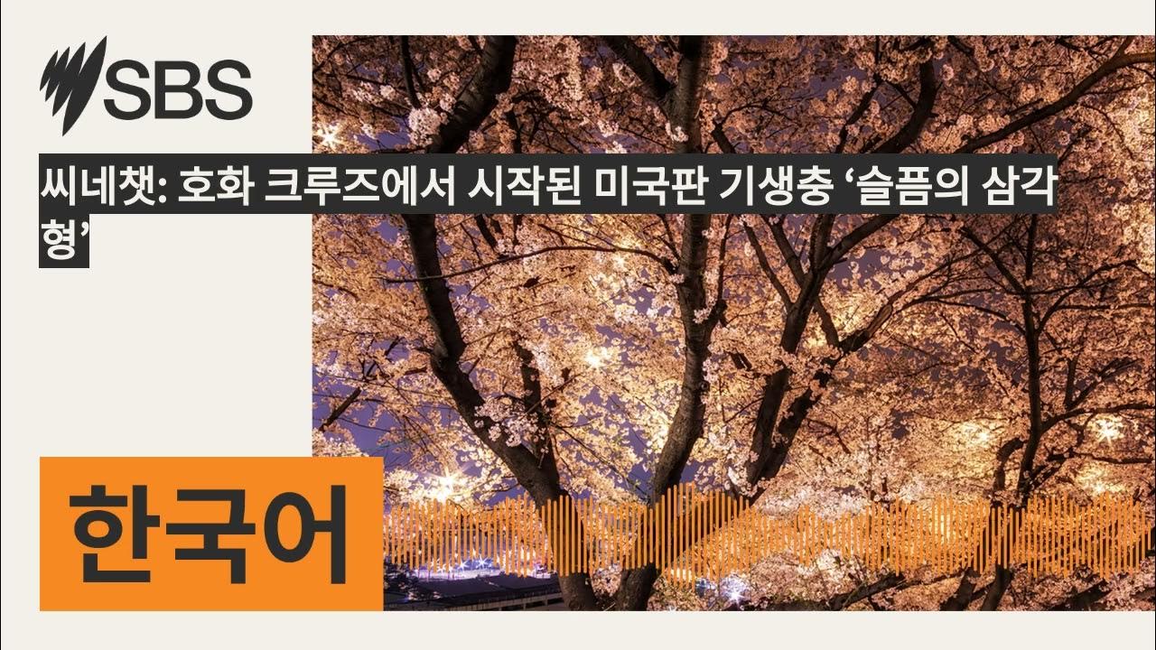 씨네챗: 호화 크루즈에서 시작된 미국판 기생충 ‘슬픔의 삼각형’ | SBS Korean - SBS 한국어 프로그램 - YouTube