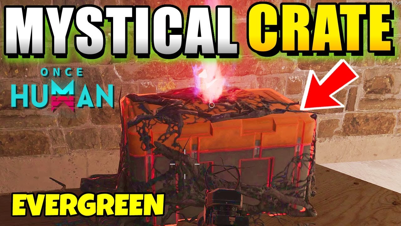 Once Human Evergreen Mystical Crate - YouTube