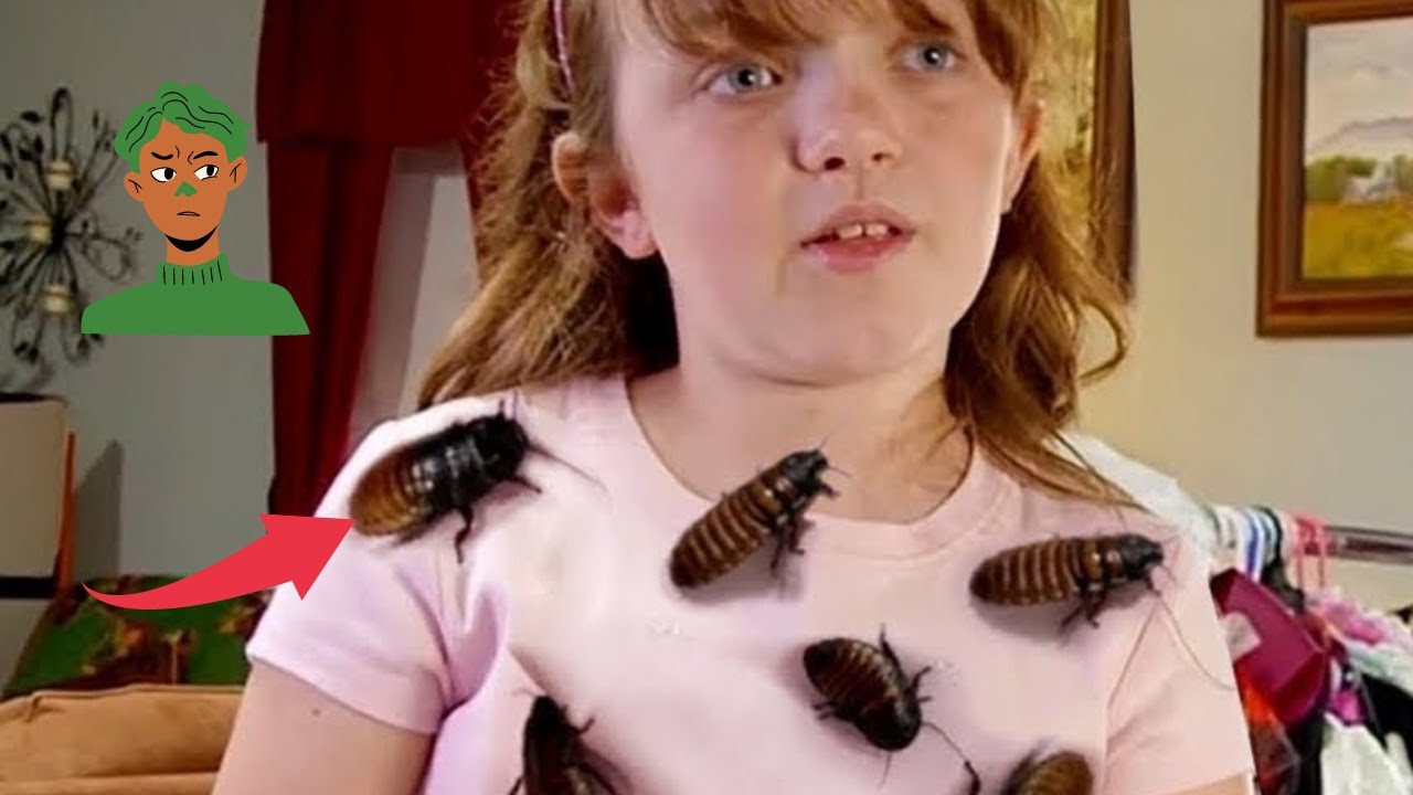 This Girl Feeds Thousands of Cockroaches in Her Home - YouTube