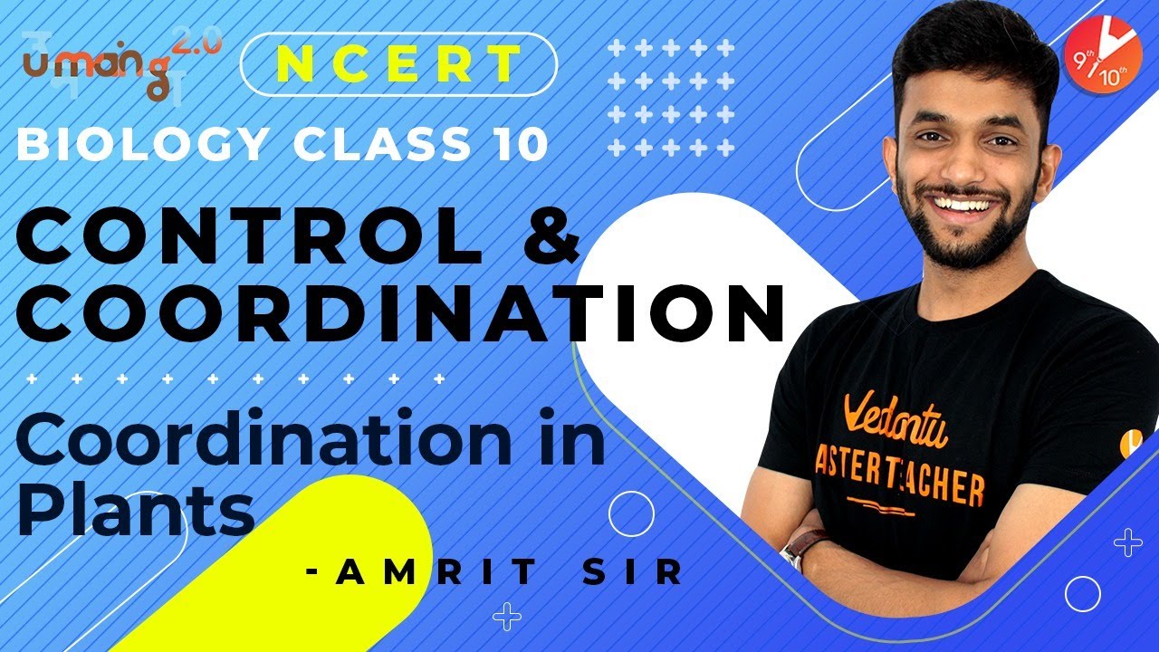 Control & Coordination | Coordination in Plants | CBSE Class 10 Biology ...