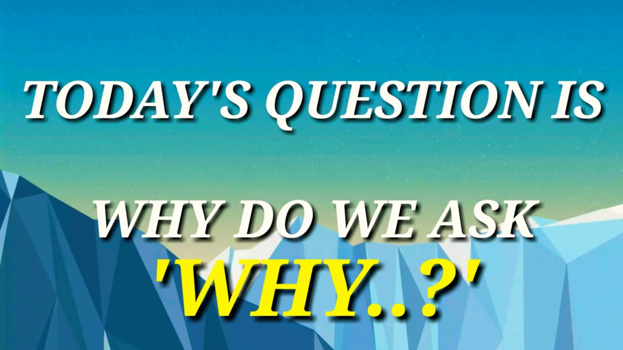 Why Do We Ask WHY Explained With Facts YouTube why-do-we-ask-why-explained-with-facts-youtube