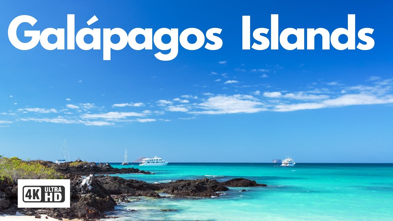 Galápagos Islands 4k ULTRA HD - YouTube