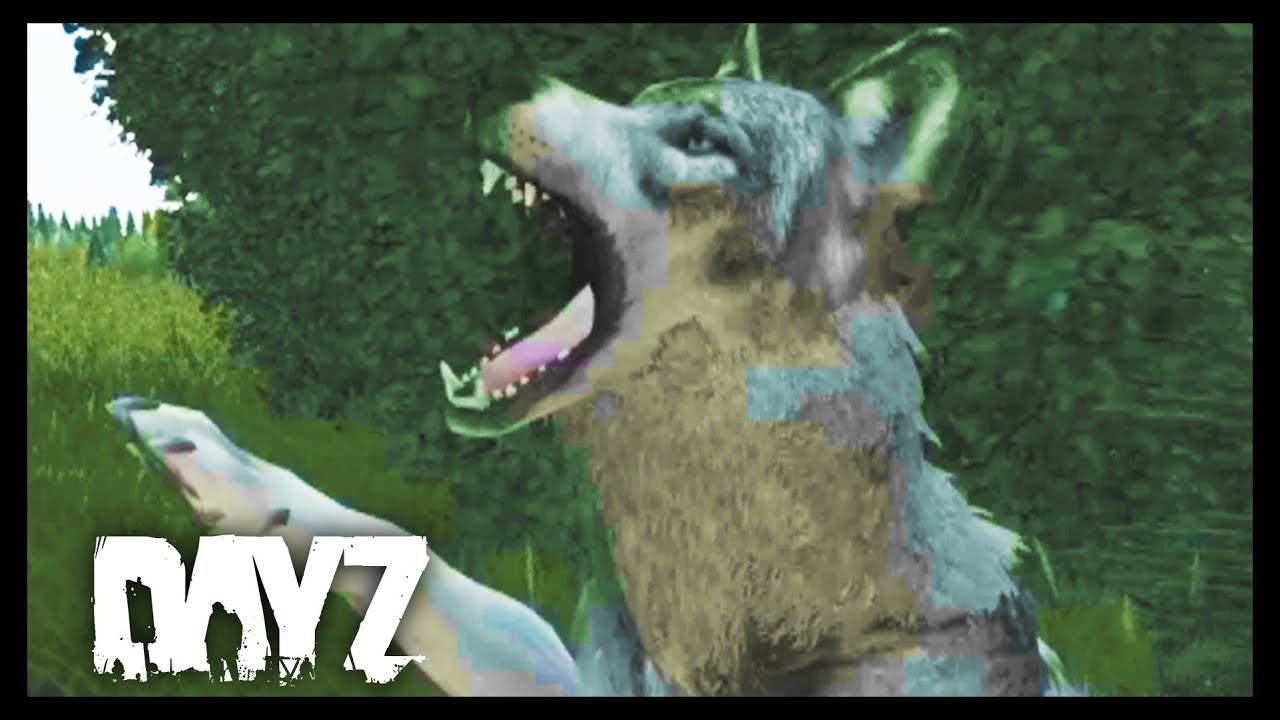 Hunted By Wolves - DayZ - YouTube