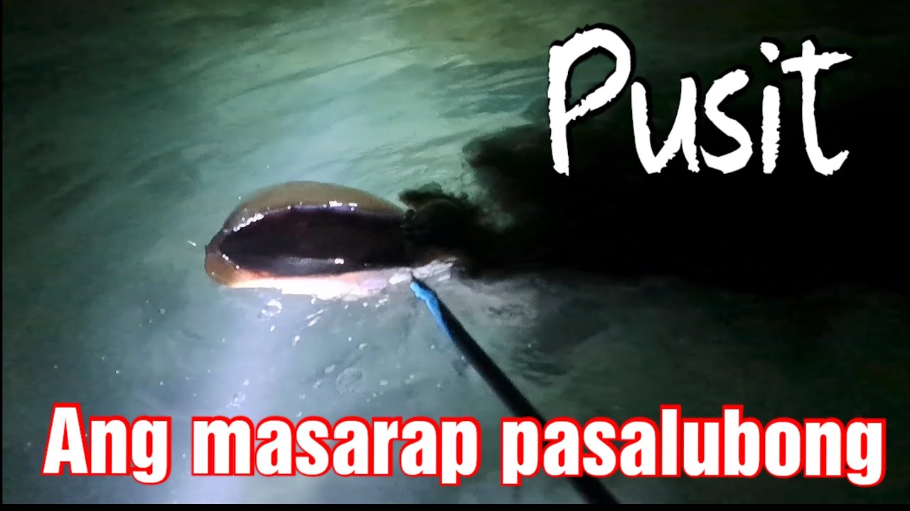 The Cuttlefish na huli sa Qatar ....dala sa Pilipinas...#corniche # ...