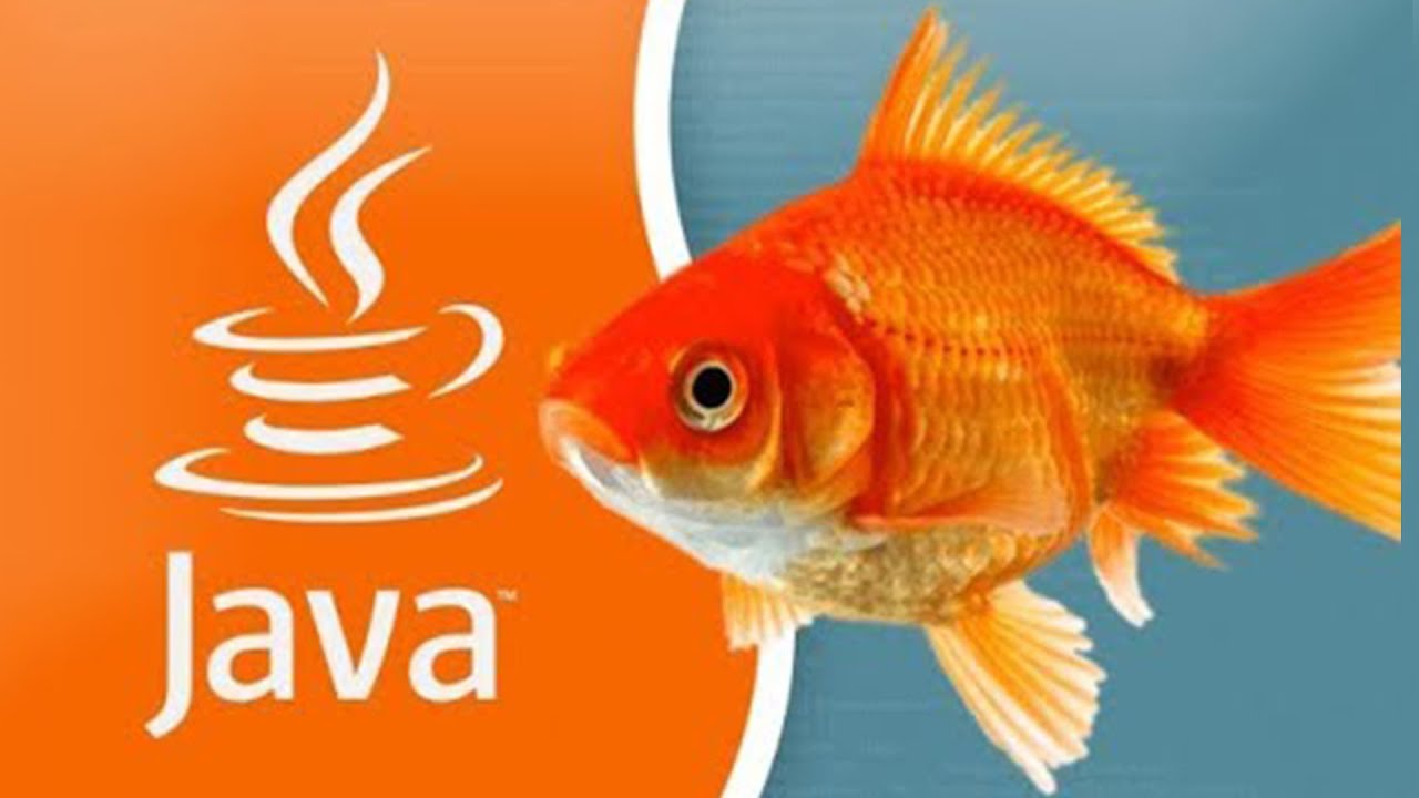 Fish Games for Java Vol 1 - YouTube