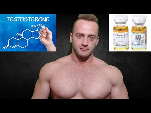 Trenbolone VS Testosterone in 5 minutes!