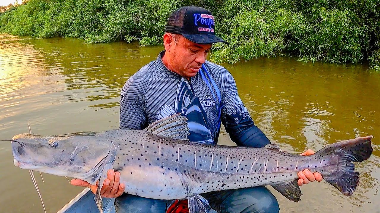 ISSO É MATO GROSSO DO SUL - RIO MIRANDA - YouTube
