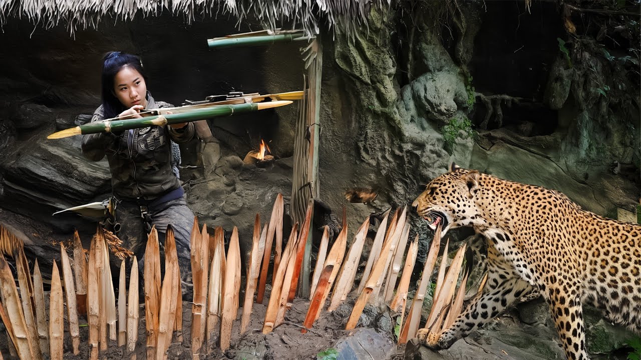 Strengthening The House To Prevent Wild Animals - The Danger of the ...