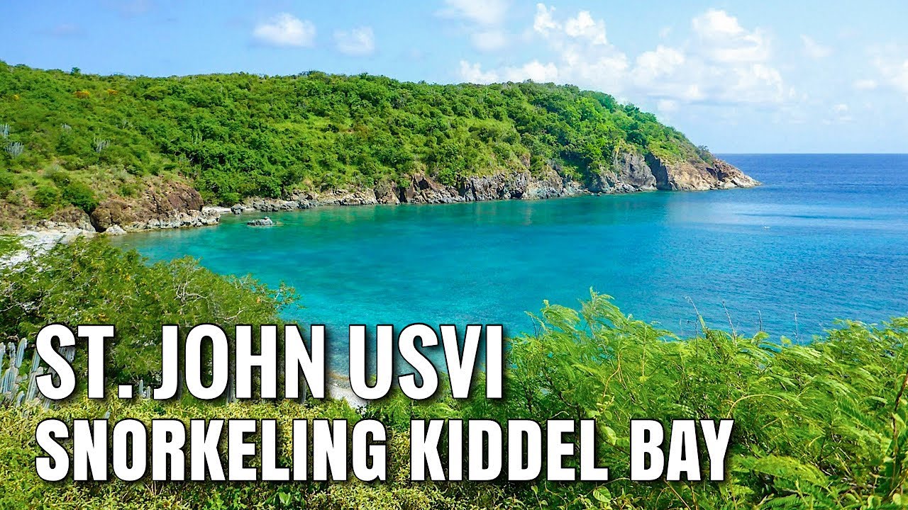 Snorkeling ST. JOHN, USVI Kiddel Bay with a Shark! - YouTube