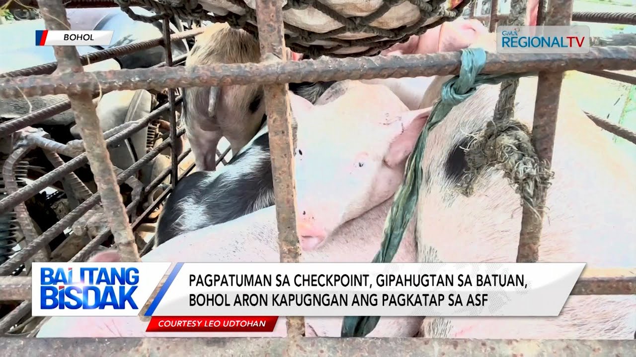 Balitang Bisdak: Pagpatuman sa checkpoint, gipahugtan sa Batuan, Bohol aron kapugngan ang ASF ...