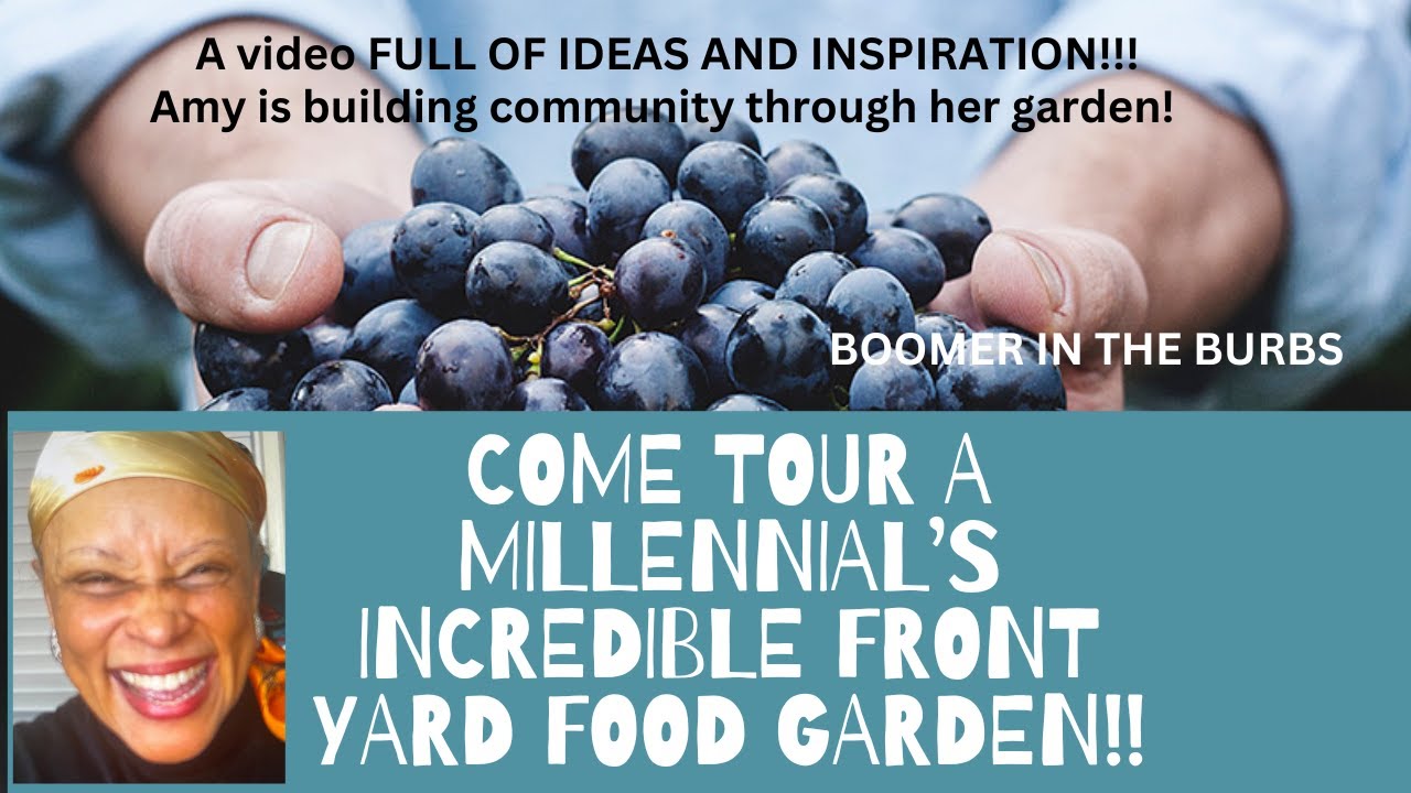TOUR OF A ‘BURB’ FRONT YARD GARDEN. THEY GROW 72 KINDS OF FRUITS ...