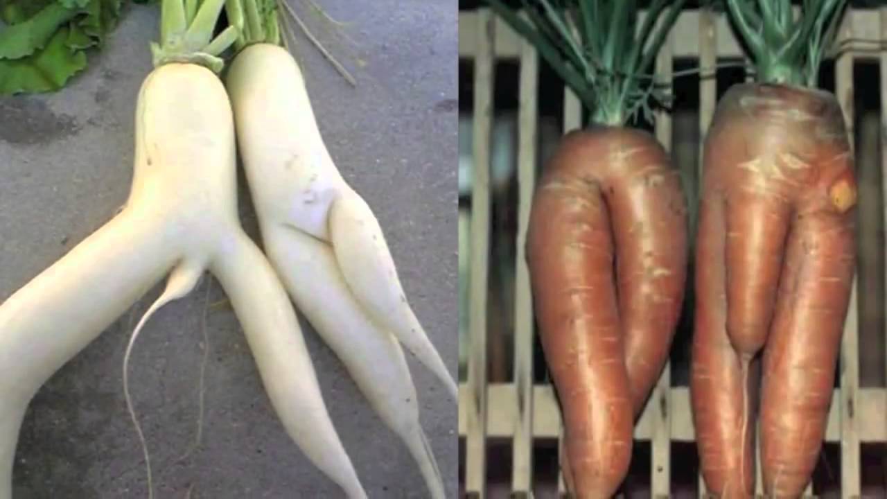 Sexy Naughty Fruit And Nature Lol Youtube