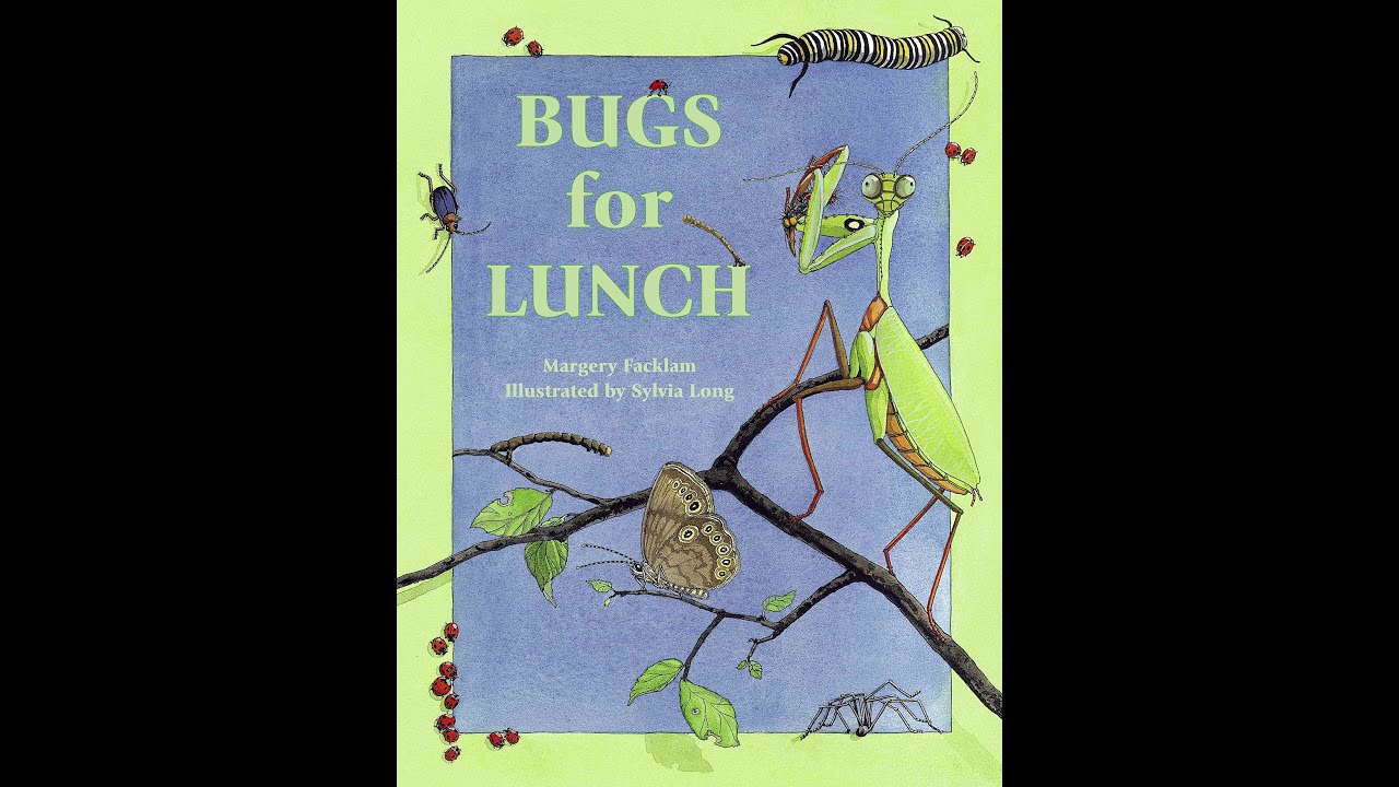 Being A Reader: Bugs for Lunch (Shared Reading Week 26) - YouTube
