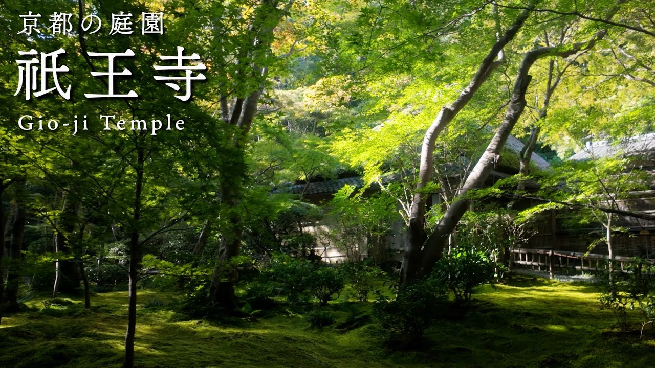 【京都の庭園】祇王寺｜Gio-ji Temple【Kyoto Japanese Garden】 - YouTube
