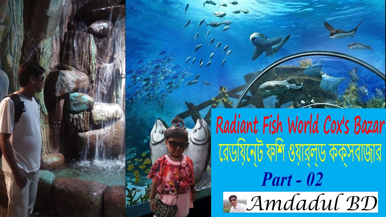রেডিয়েন্ট ফিস ওয়ার্ল্ড || Radiant Fish World || Part-02 || Amdadul BD ...