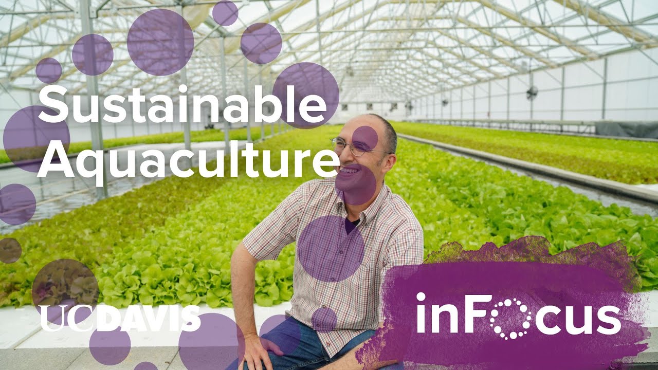 How a California Caviar Farm Turns Its Waste Into Food - YouTube