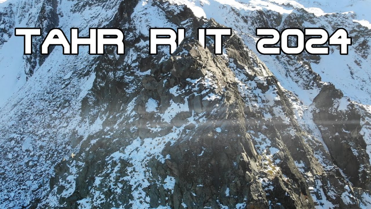 Himalayan Tahr In There Kingdom! Breath taking Views and Action 🎬 - YouTube