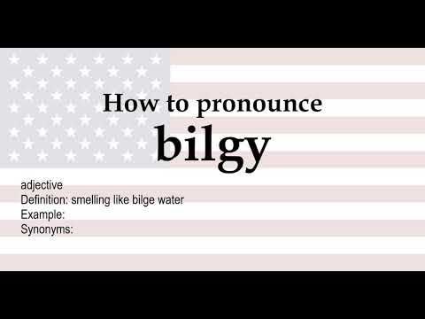 bilgy