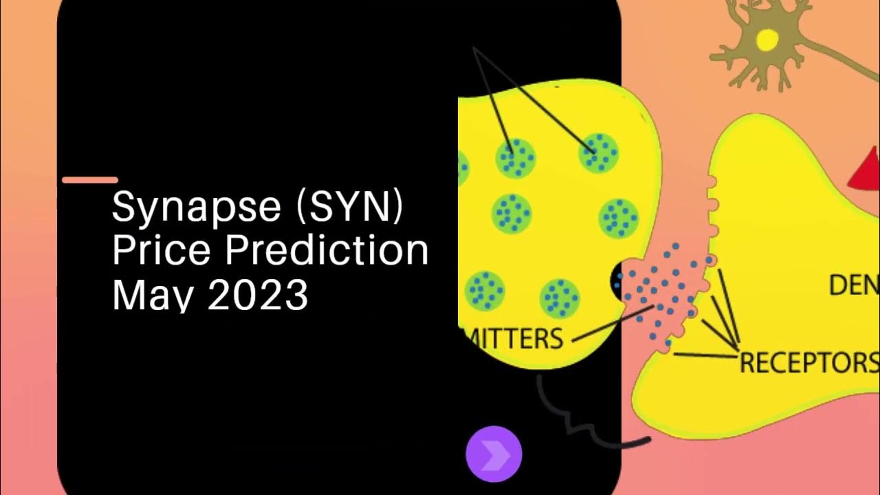 Synapse Price Prediction 2023 SYN Crypto Forecast up to $0 94 - YouTube