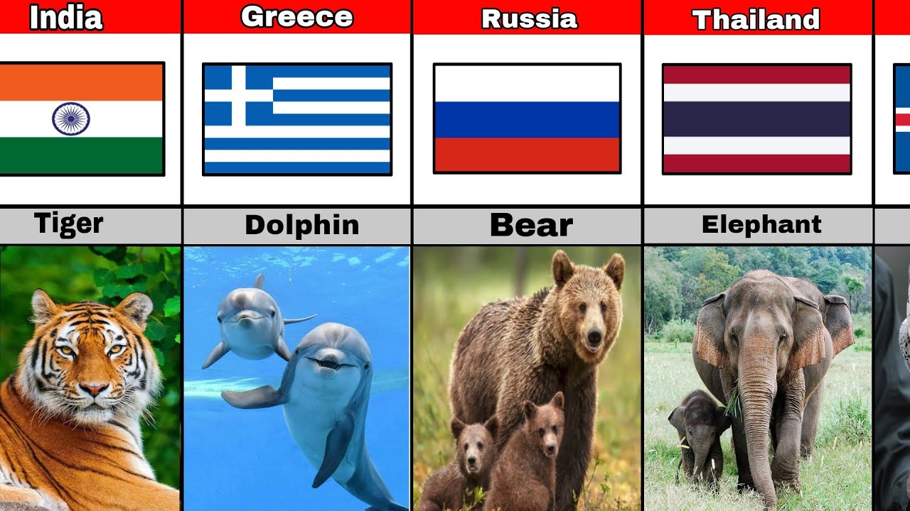 "Comparing National Animals: A Journey through the Animal Kingdom of ...