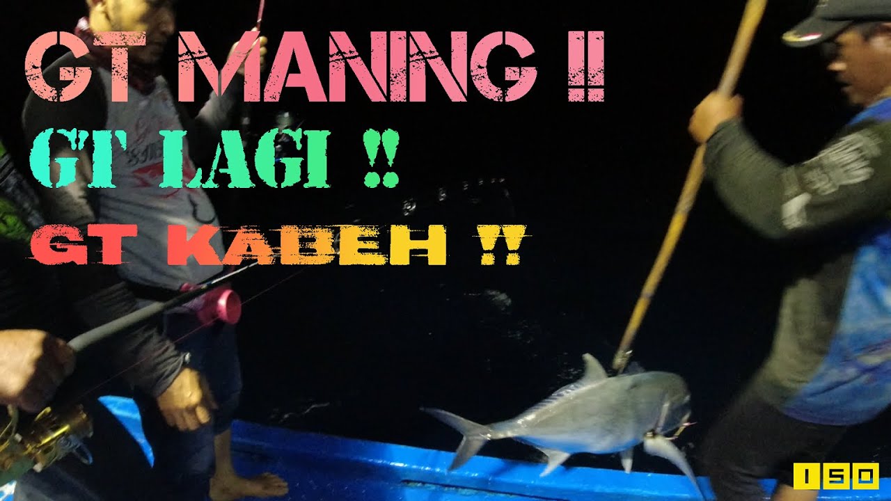 GT Maning !! Strike GT (Giant Trevally) bertubi-tubi menjelang pagi ...