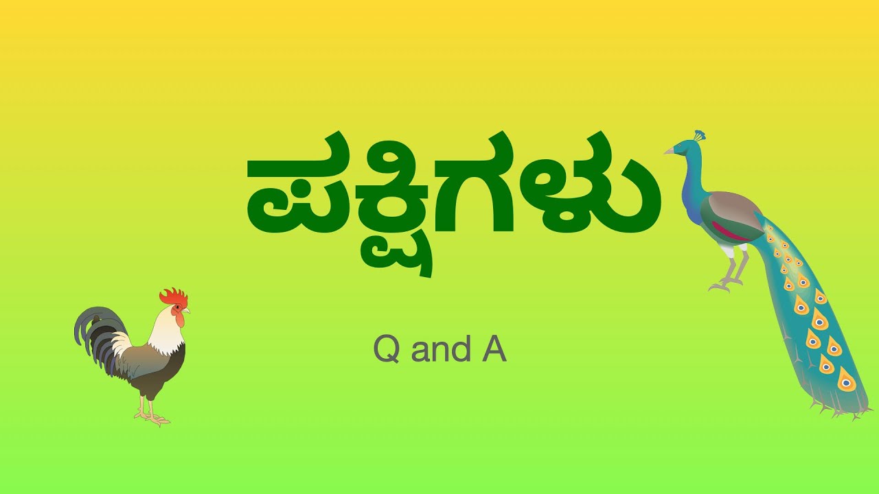 Pakshigalu class 4 kannada Q and A - YouTube