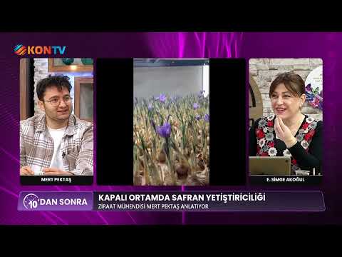 10 DAN SONRA 22 ARALIK 2025 MERT PEKTAŞ