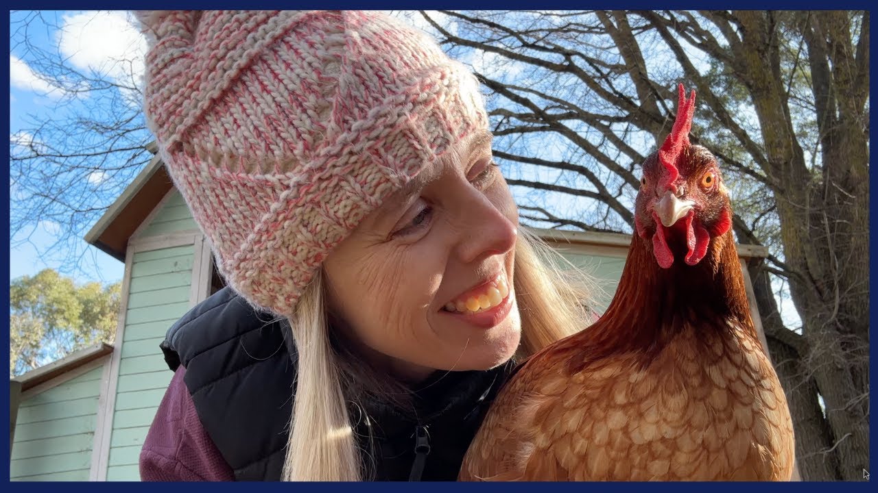 Chickens 101: A Guide to Raising Chickens - YouTube