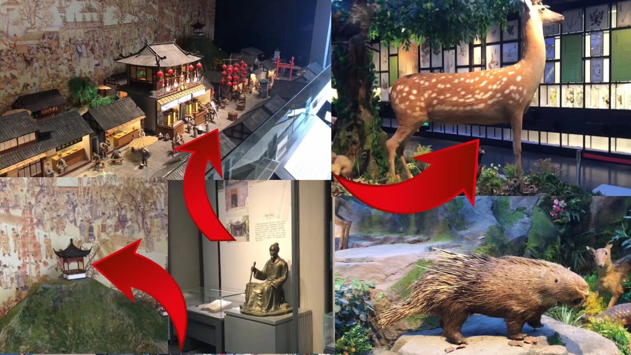 Zhejiang Chinese medical university map and museum| overview of ZCMU ...