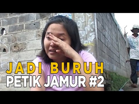 Pekerjaan bapak ternyata lebih berat, namun upahnya sedikit | JIKA AKU MENJADI