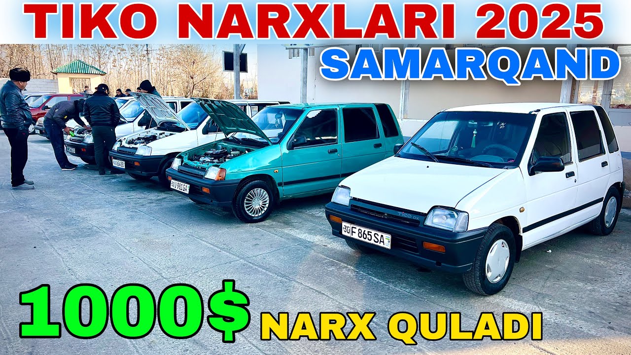 TIKO NARXLARI 2025 ТИКО НАРХЛАРИ 2025.SAMARQAND MOSHINA BOZORI 2025.TIKO NARXLARI 2025 - YouTube