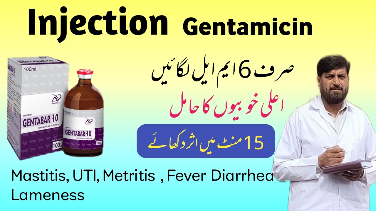 Injection جینٹا مائی سین | Gentamicin Use In Mastitis Metritis ...